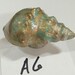 Handmade Hand Cast Conch Shell Drawer Pull Knob Custom Painted Pair - Etsy