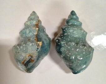Handmade Hand Cast Conch Shell Drawer Pull Knob Custom Painted Pair - Etsy