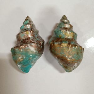 Handmade Hand Cast Conch Shell Drawer Pull Knob Custom Painted Pair - Etsy