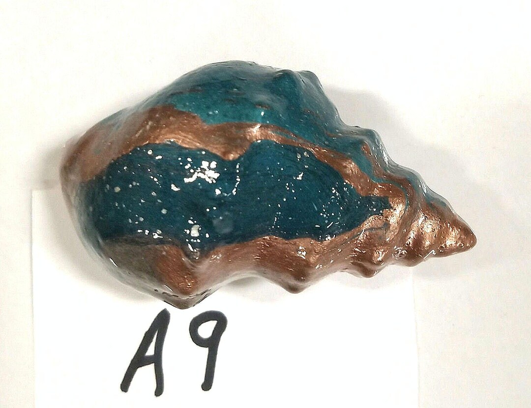 Handmade Hand Cast Conch Shell Drawer Pull Knob Custom Painted - Etsy