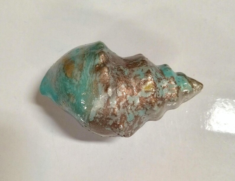 Handmade Hand Cast Conch Shell Drawer Pull Knob Custom Painted Pair - Etsy