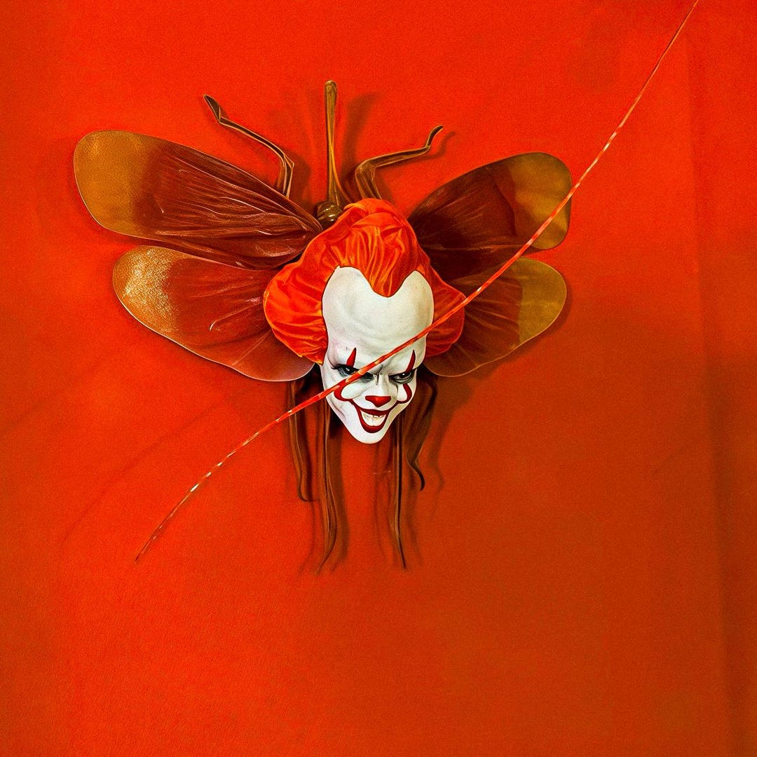 Clown Framed Moth, Shadow Box Moth,ornament,home Decor, Personalized ...