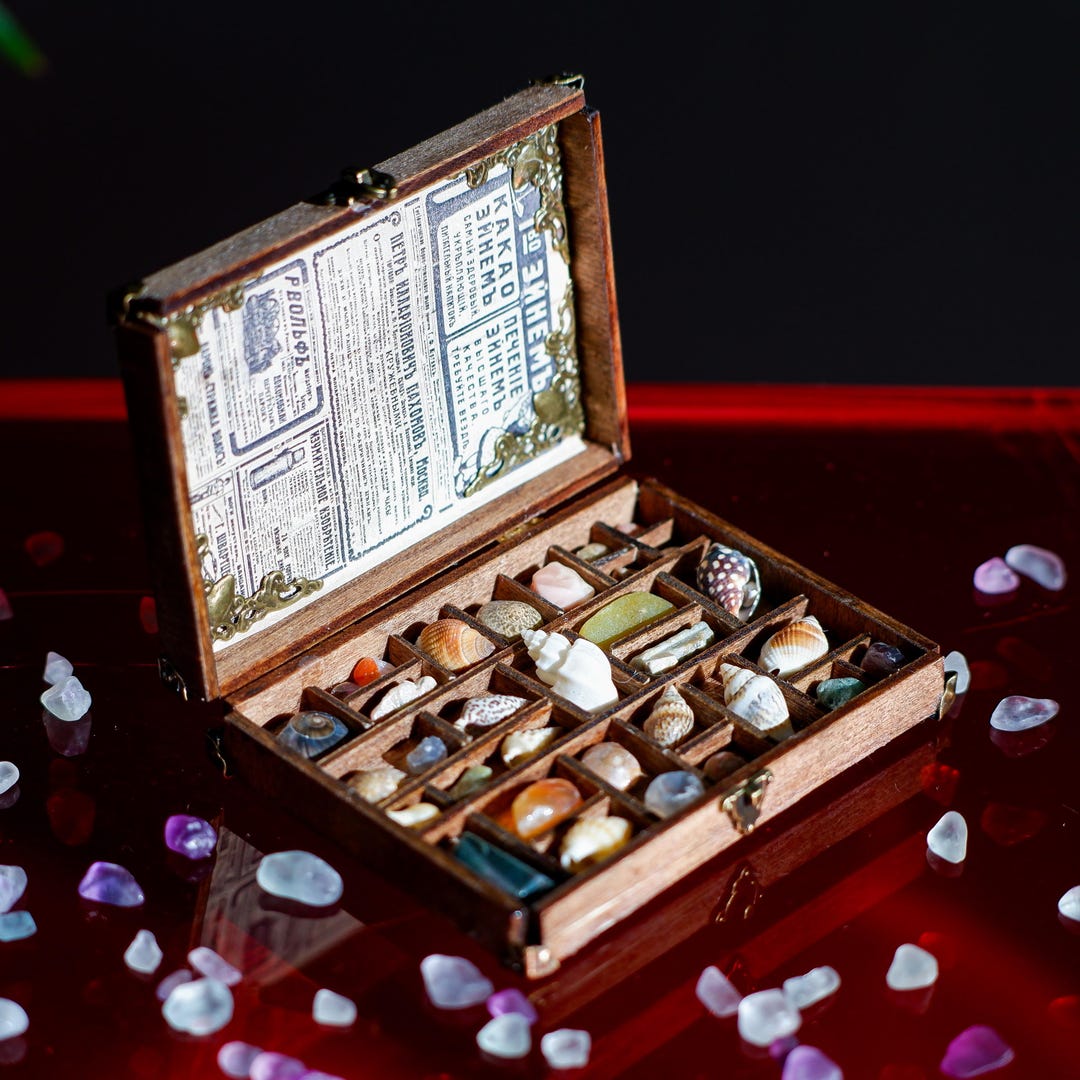 Handmade Miniature Seashell Specimen Box Real Nautical Shell & Conch ...