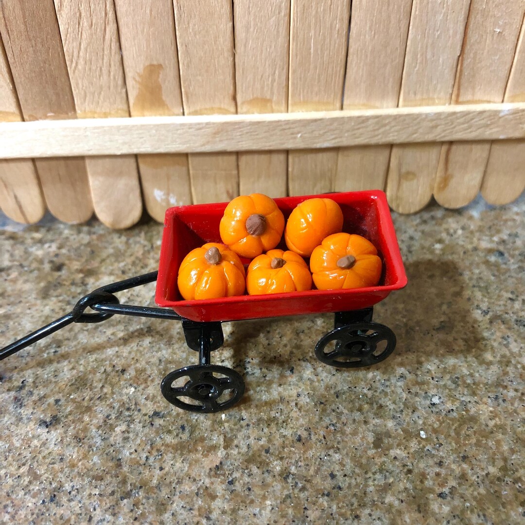5 Mini Pumpkins - Etsy