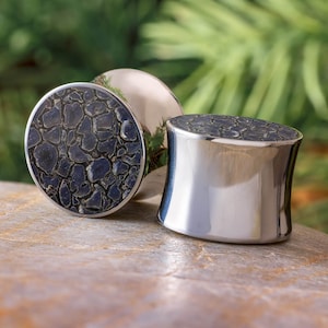 Dinosaur Bone Ear Gauges, Titanium Plugs Sizes 00g and Larger - Etsy