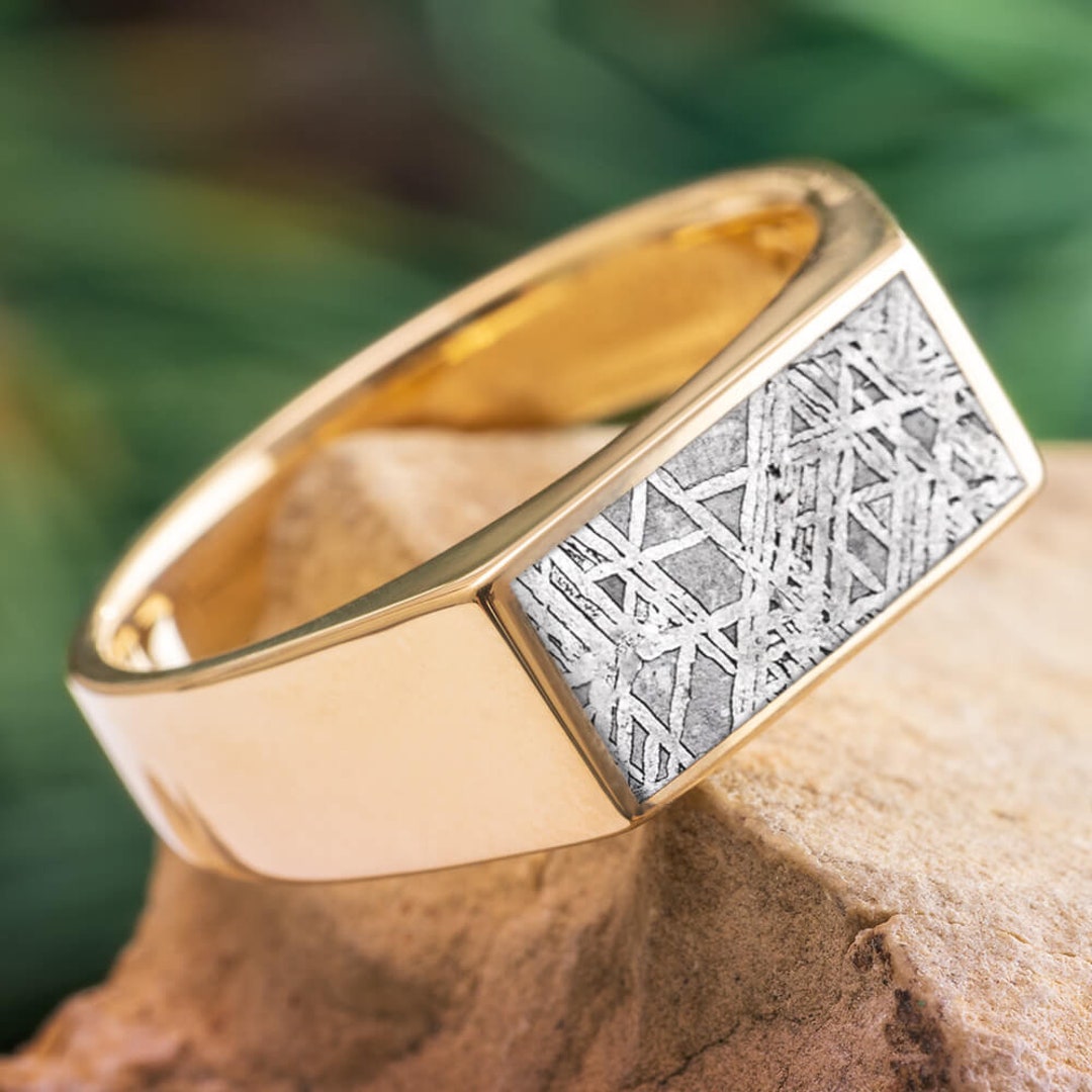 Gibeon Meteorite Signet Ring in 14k Gold, Men's Wedding Band - Etsy