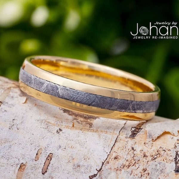 Meteorite Ring - Etsy