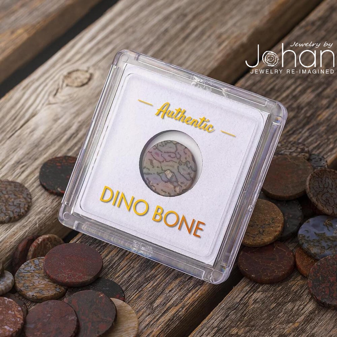 Dinosaur Bone Fossil Coin, Genuine Fossil Specimen in Collector's Case ...