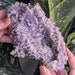 Grape Agate Specimen Large High Quality - Etsy
