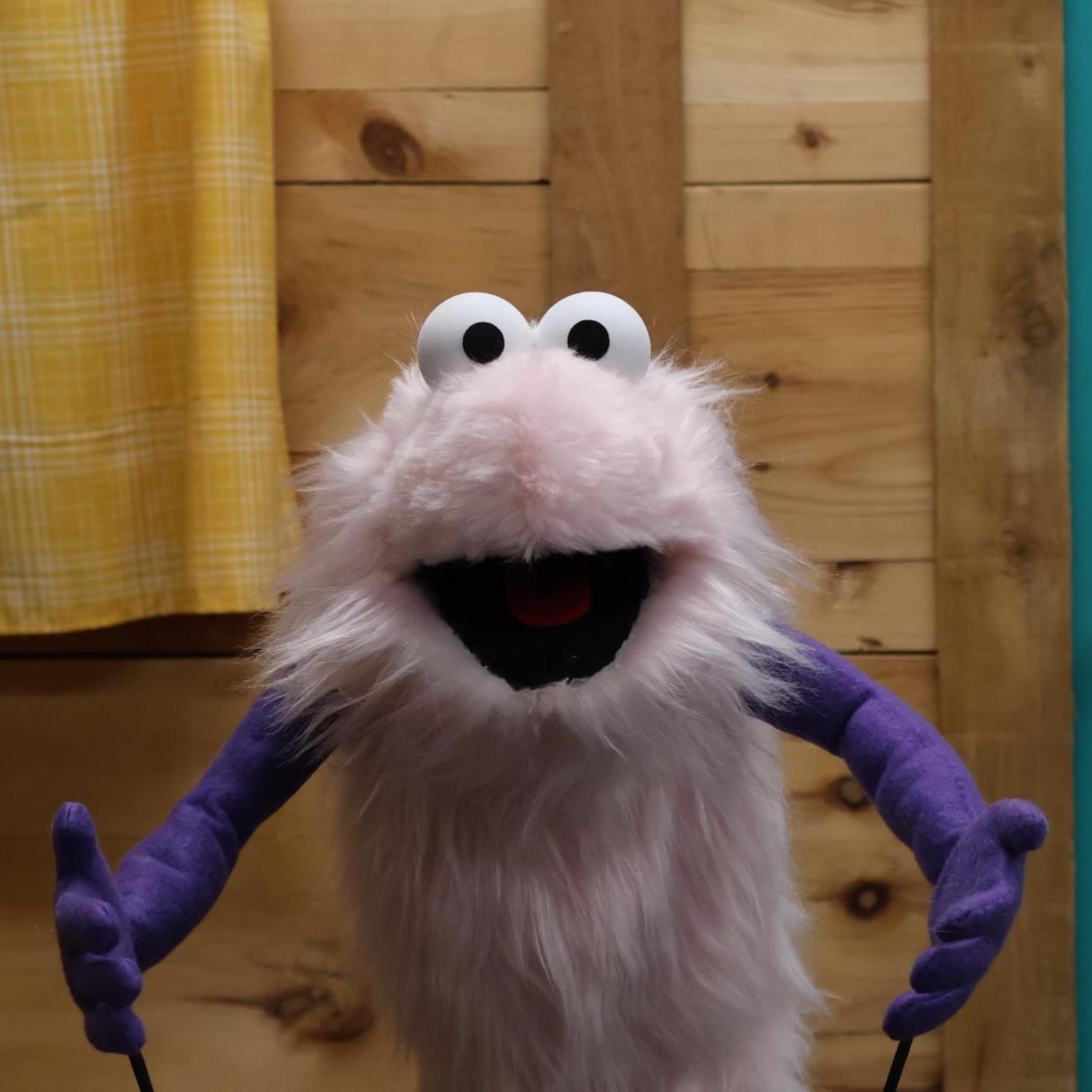 Simple Puppet Pattern Little Critter - PDF Digital Download - Etsy