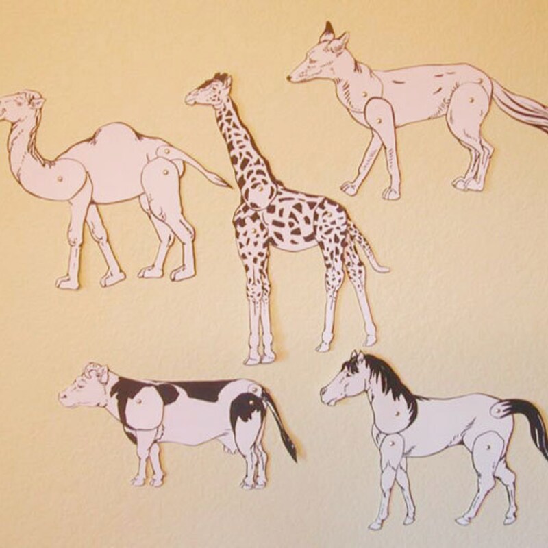 Animal Paper Dolls - Etsy
