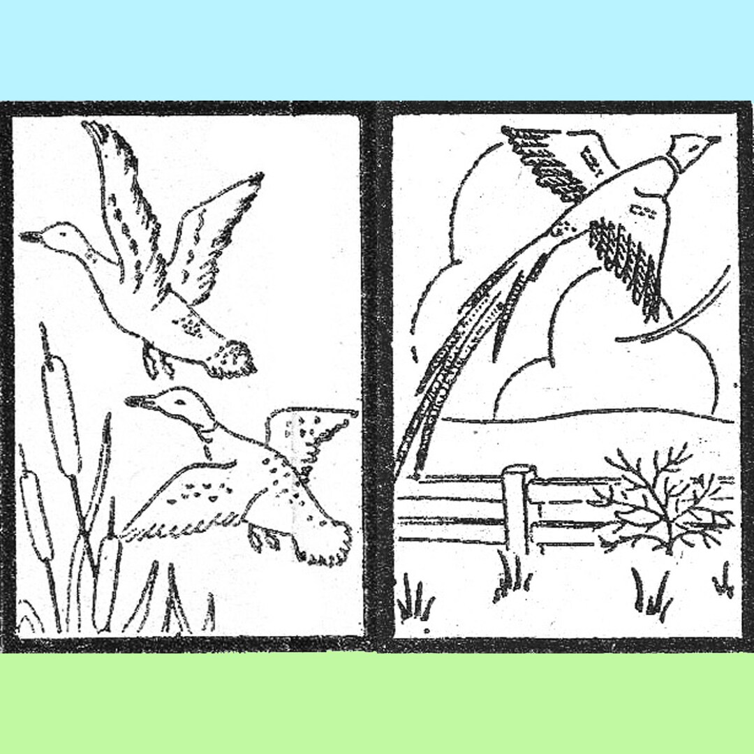 1950s Pheasant & Ducks Embroidery Pattern: Vintage Iron-on Transfer ...