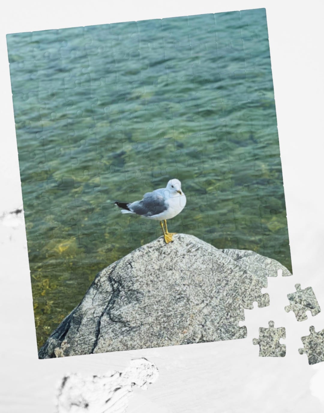 Beach Puzzle, Seagull on Rock, Bird Lovers Gift, Lake Michigan ...
