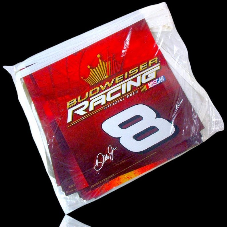 2004 NASCAR 24-foot Banner With Flags – Dale Earnhardt Jr. #8 Budweiser ...