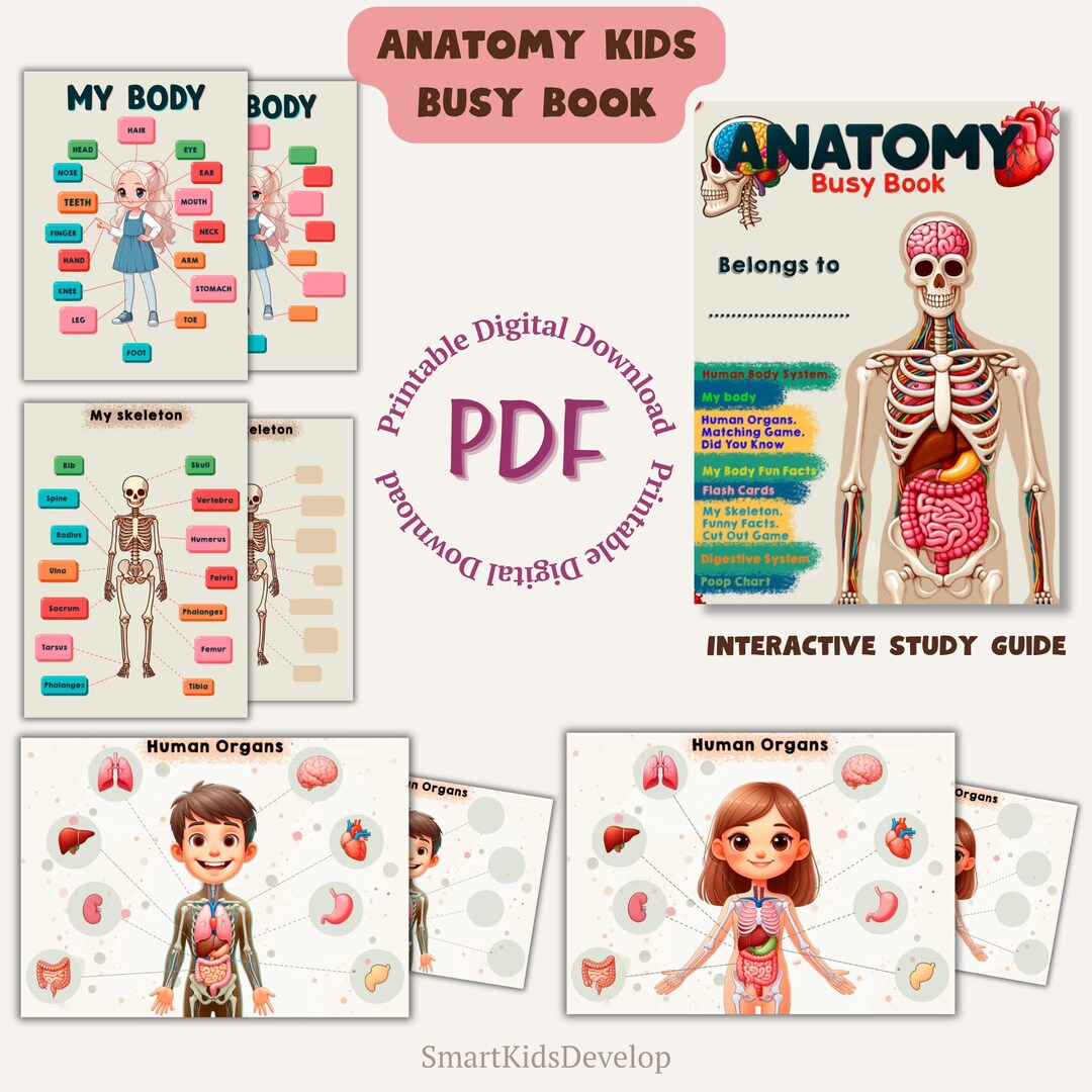 Human Anatomy Busy Book BUNDLE, Preschool Montessori Worksheets ...