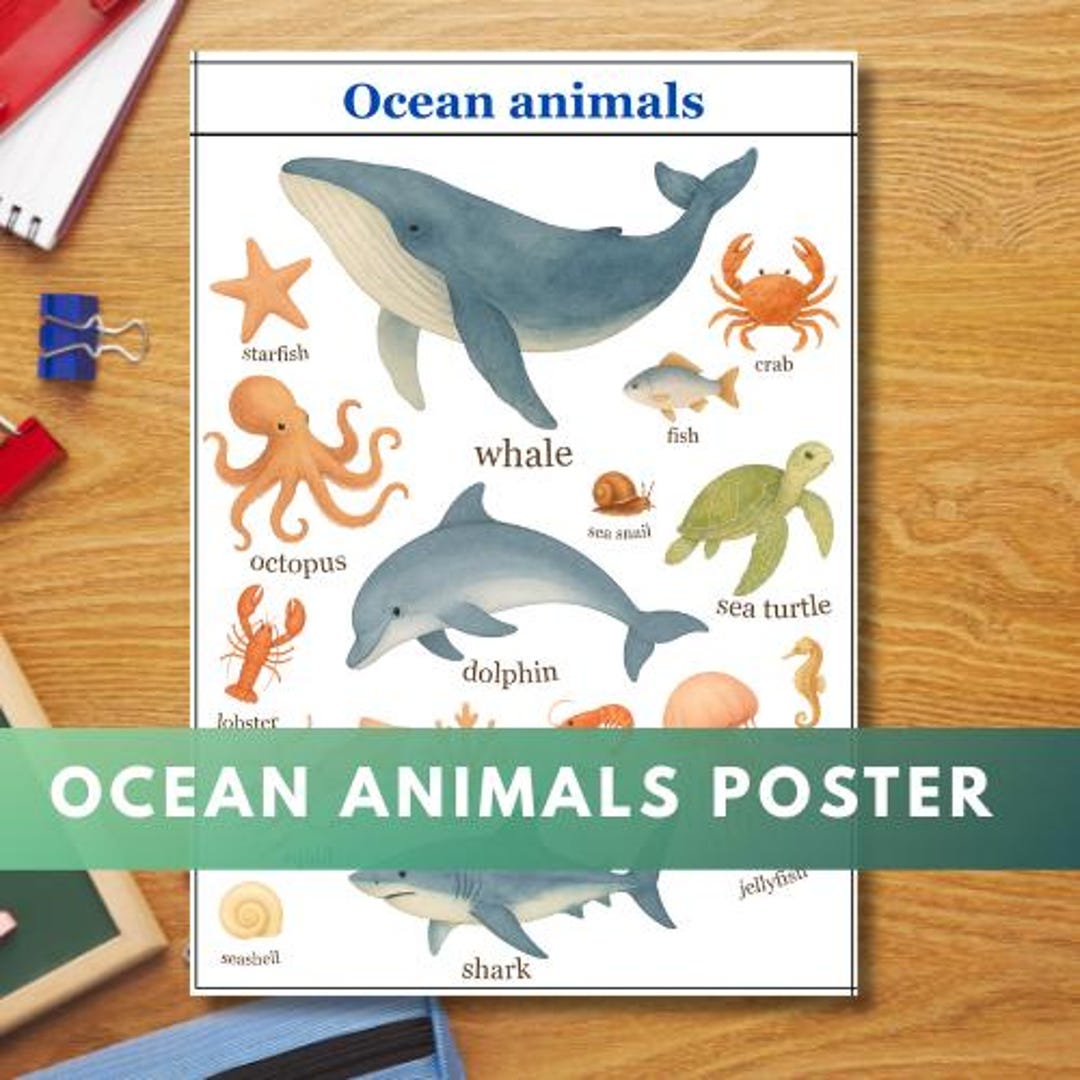 Ocean Animals Poster • Montessori Poster • Montessori Educational ...