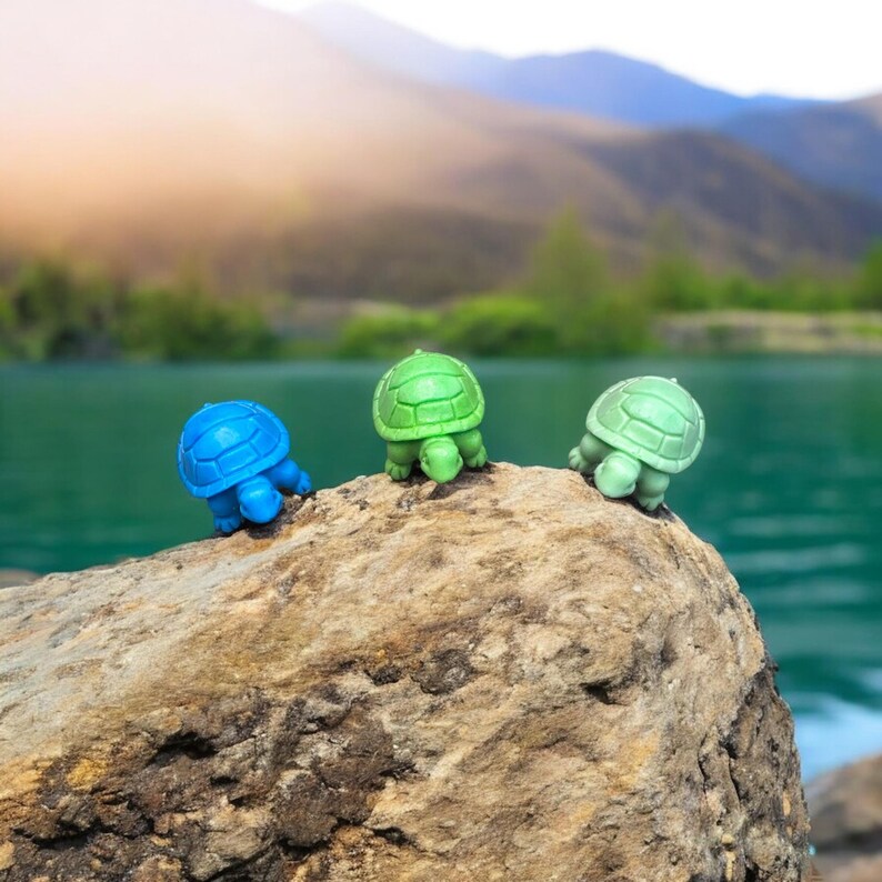 Fruit-scented Turtle Soaps – All-natural, Kid-friendly, Fun Bath Soaps ...