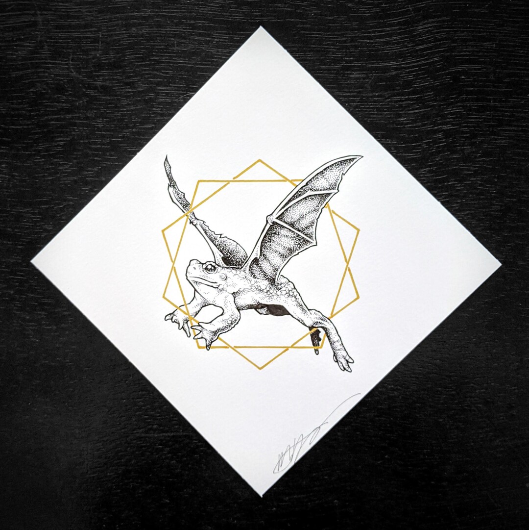 Bufo Chiroptera - Original Ink Drawing - Etsy