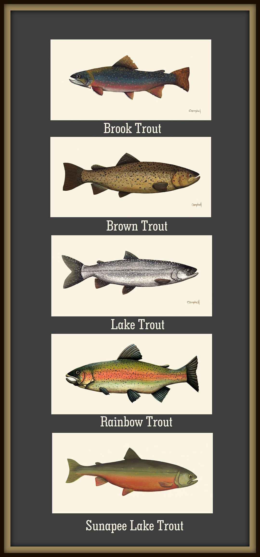 5 Trout Prints on Wood - Etsy