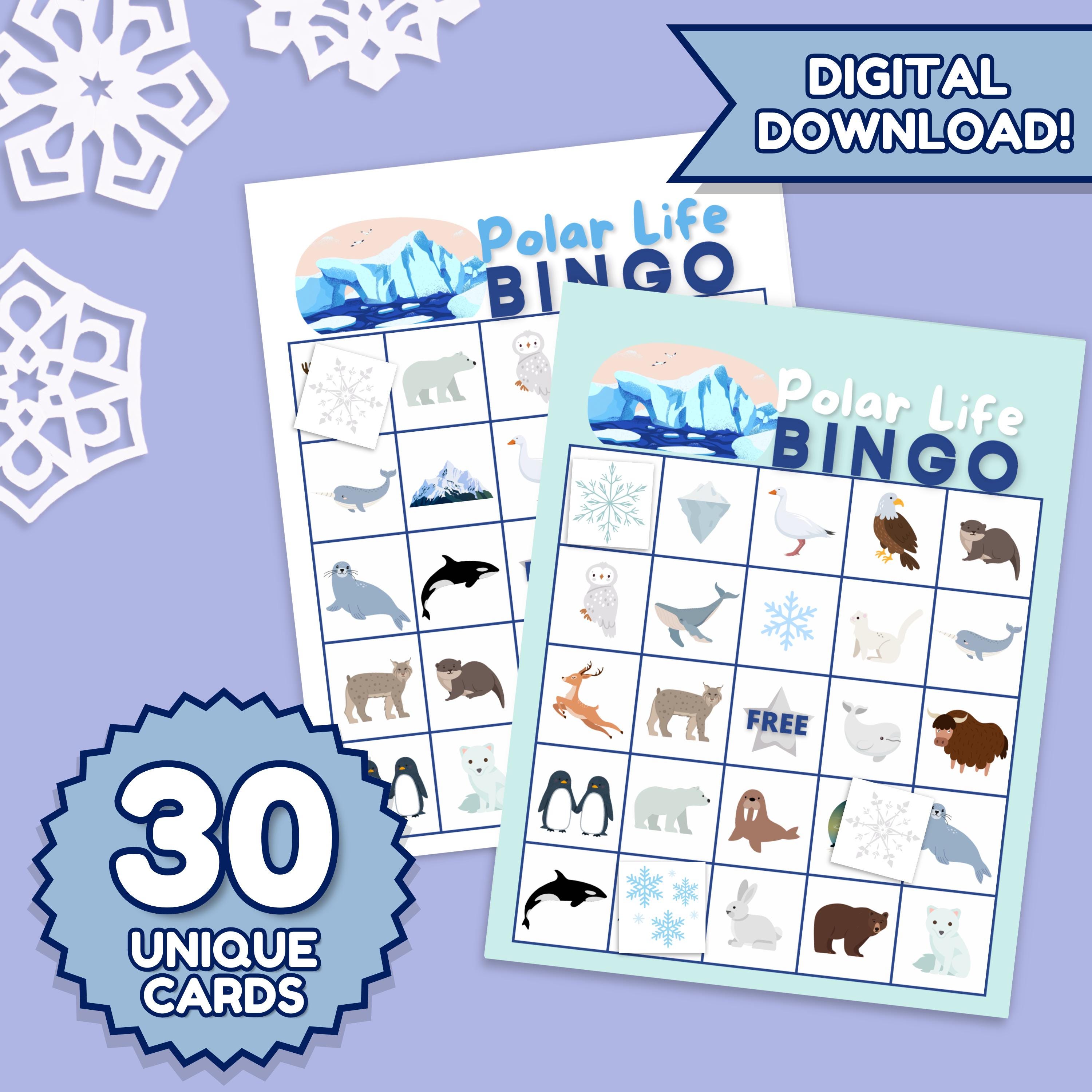 POLAR BINGO | Classroom Game | PRINTABLE | Digital Download - Etsy