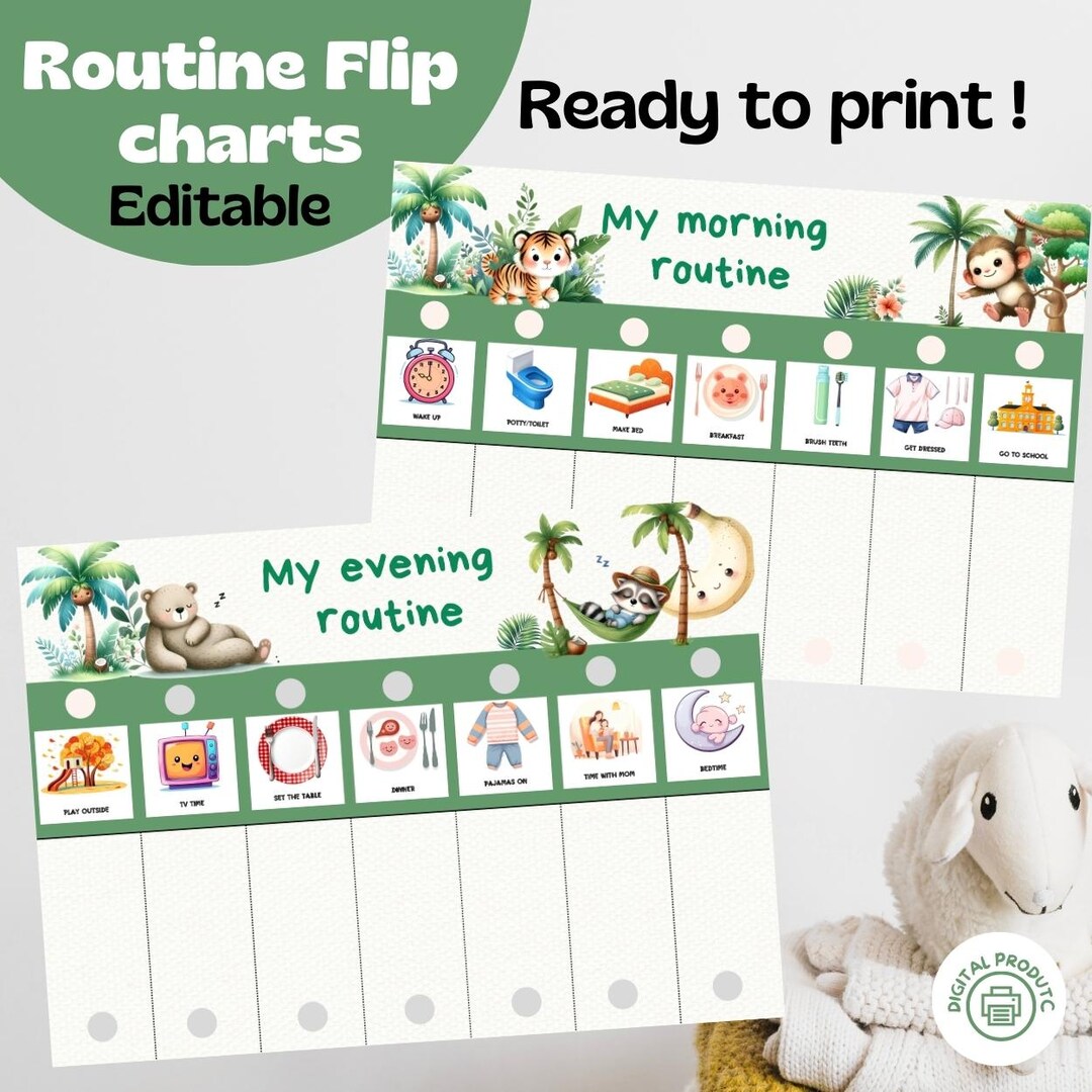 Routine Flip Chart for Kids, Editable Daily Routine Visual, Morning ...