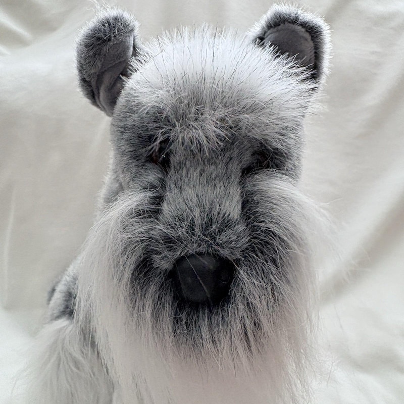 Douglas Dogs - Etsy