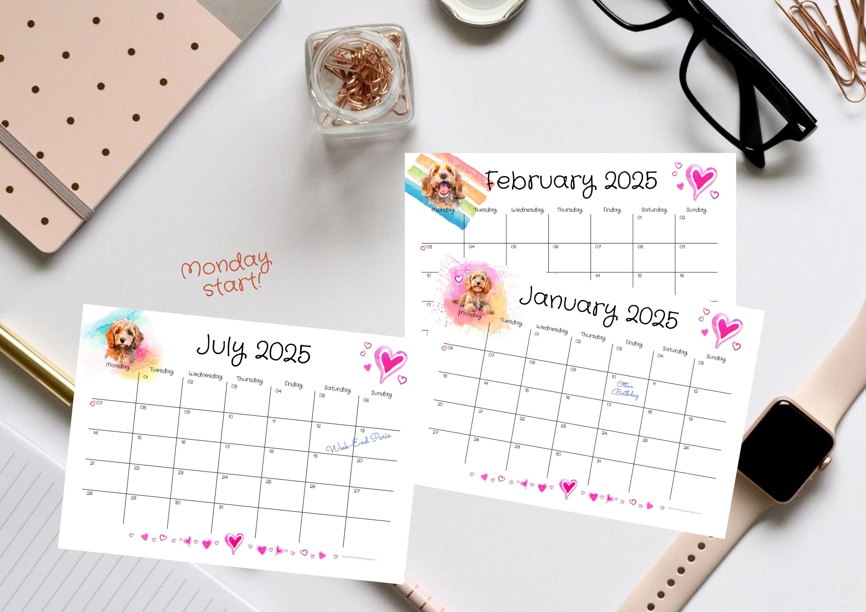 Adorable Cockapoo Annual Calendar 2025 With Various Doodle Motifs in A4 ...