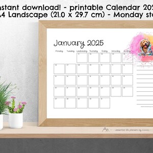 Adorable Cockapoo Annual Calendar 2025 With 12 Doodle Motifs in A4 for ...