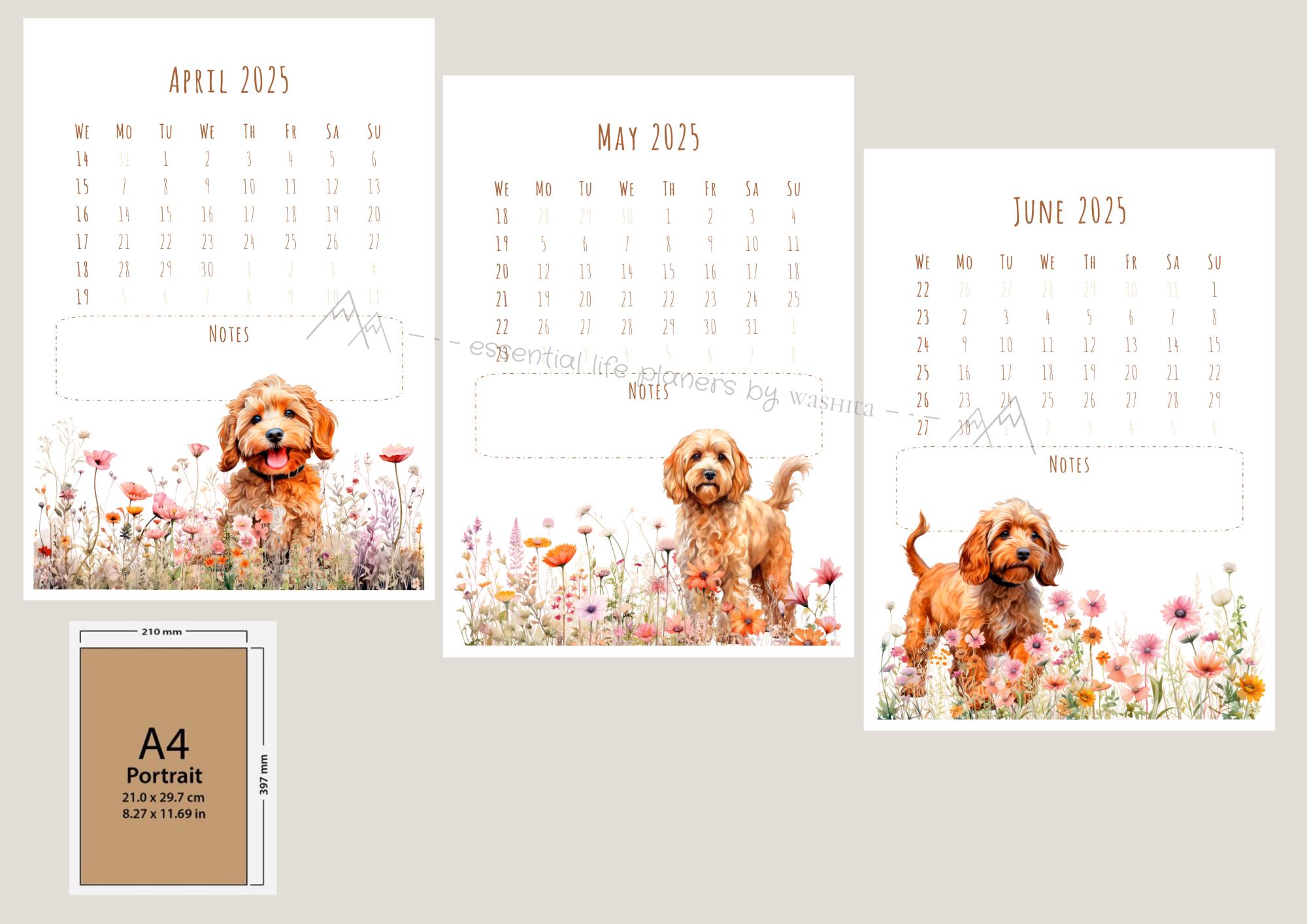 Adorable Doodle & Flowers Annual Calendar 2025. 12 Pages With Calendar ...