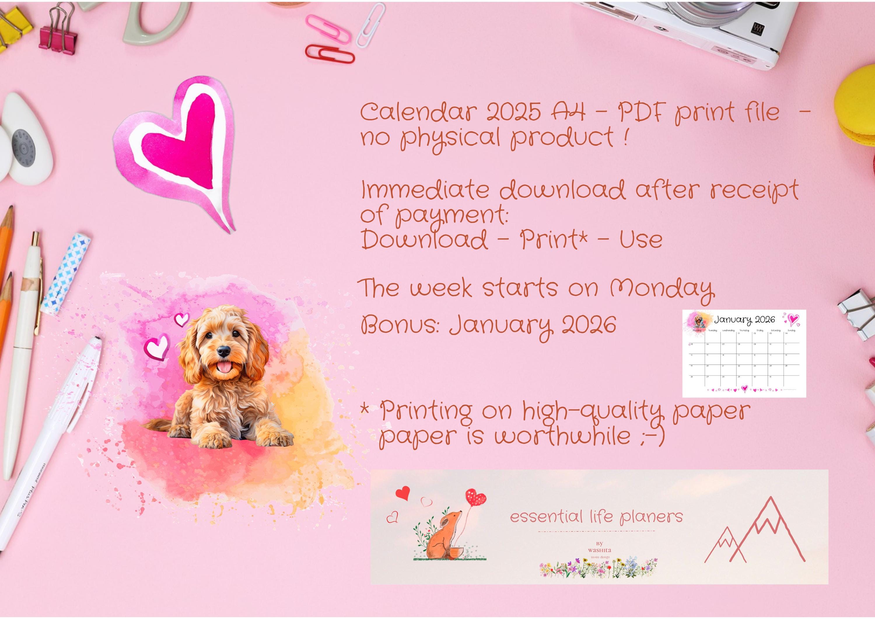 Adorable Cockapoo Annual Calendar 2025 With Various Doodle Motifs in A4 ...