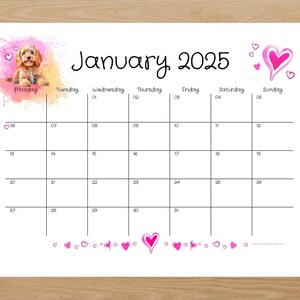 Adorable Cockapoo Annual Calendar 2025 With Various Doodle Motifs in A4 ...