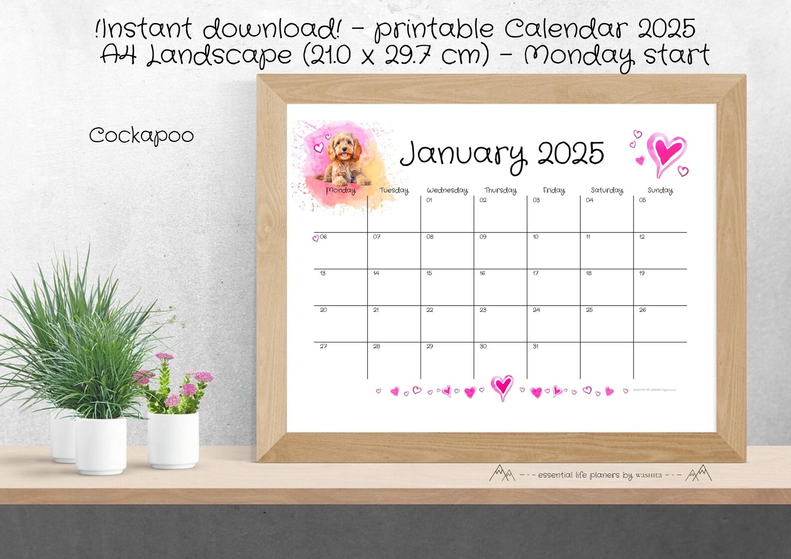 Adorable Cockapoo Annual Calendar 2025 With Various Doodle Motifs in A4 ...