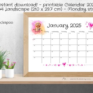 Adorable Cockapoo Annual Calendar 2025 With Various Doodle Motifs in A4 ...