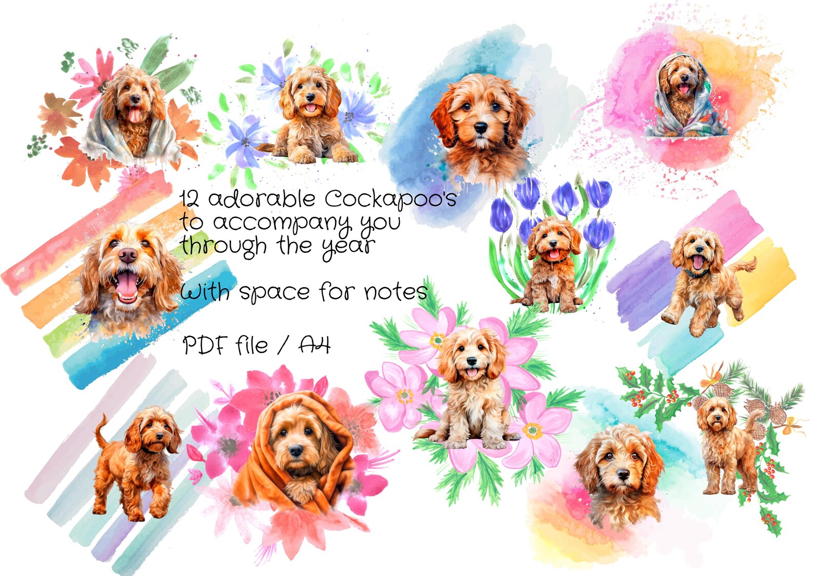Adorable Cockapoo Annual Calendar 2025 With Various Doodle Motifs in A4 ...