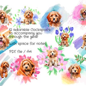 Adorable Cockapoo Annual Calendar 2025 With Various Doodle Motifs in A4 ...
