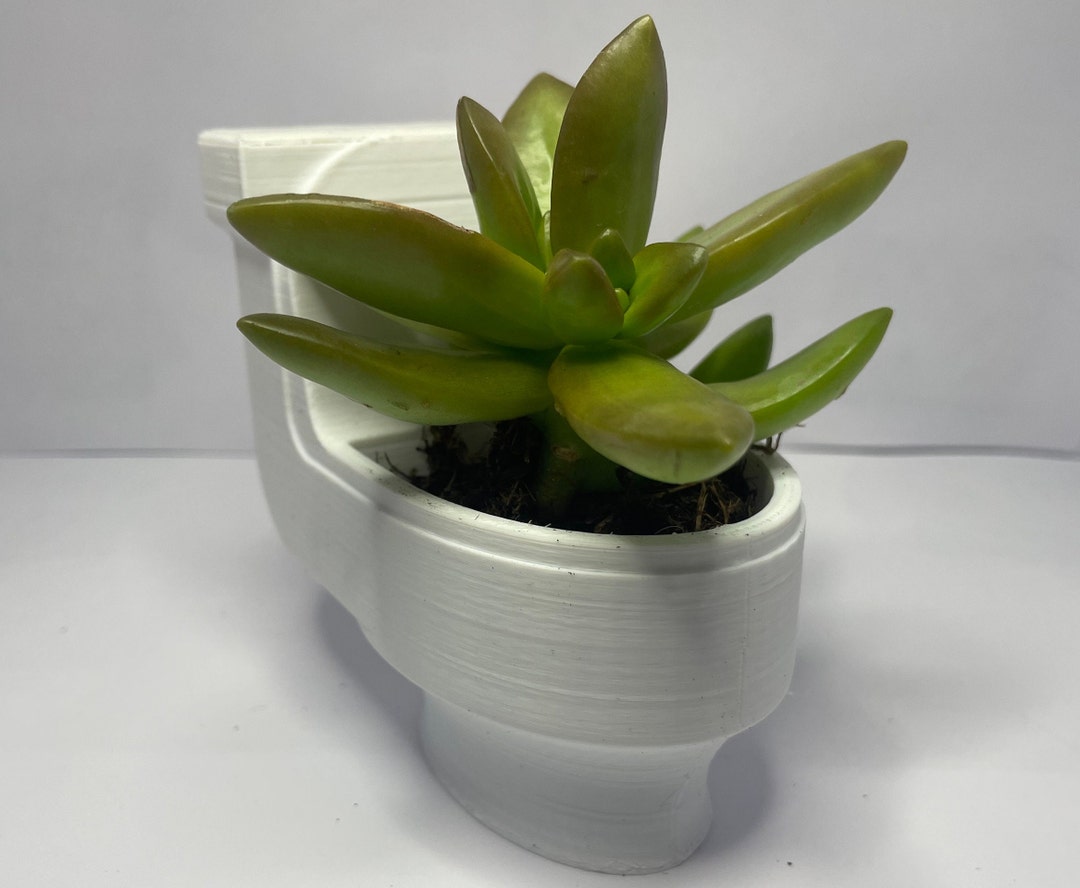 Skibidi Plant Pot - Etsy