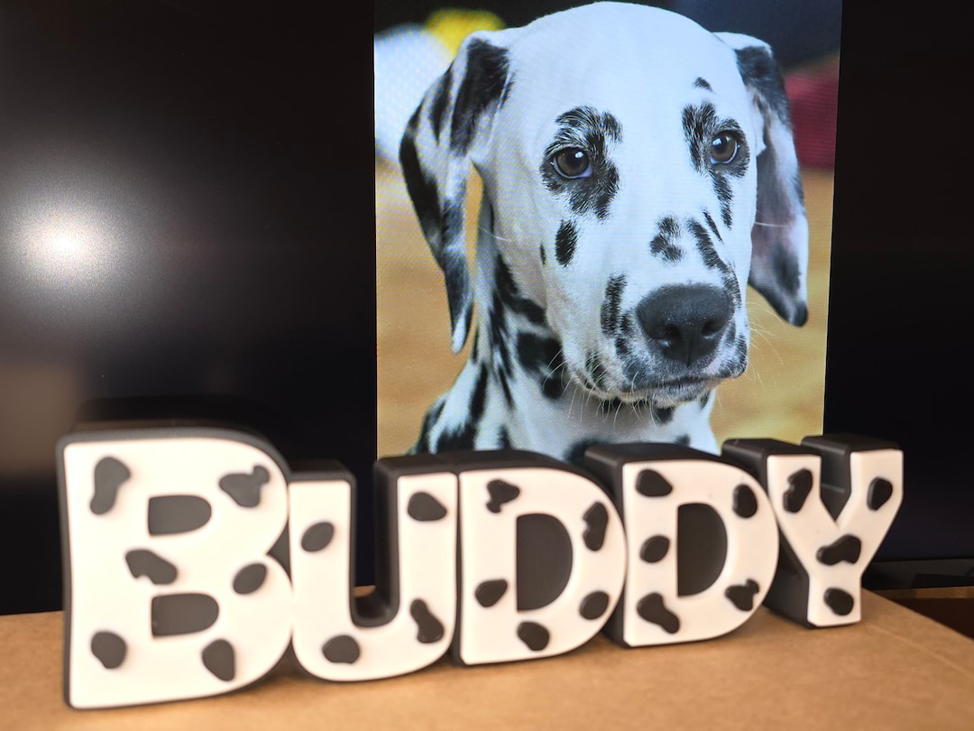 Dalmatian Pattern Name Plate. the Perfect Gift for the Dalmatian Owner ...