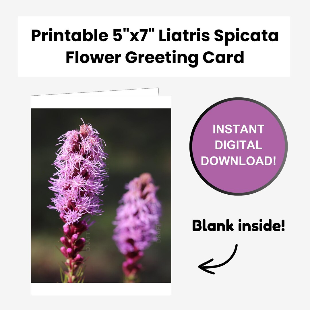 Printable 5x7 Liatris Spicata Flower Greeting Card, Purple Flower Card ...