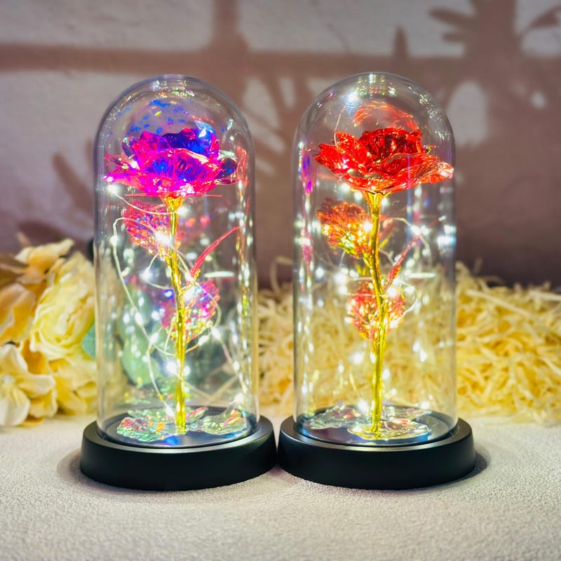 Rose in Glass Dome - Etsy