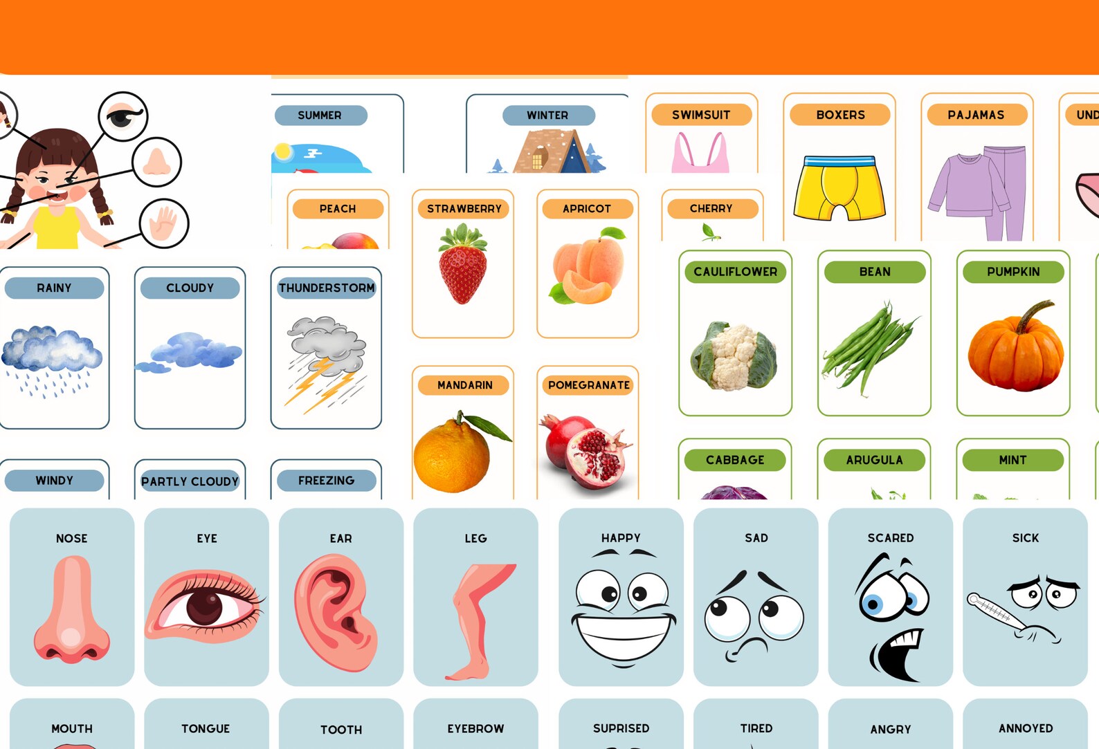 Montessori Flashcards of Alphabet With Animals, Fruits,vegetables ...