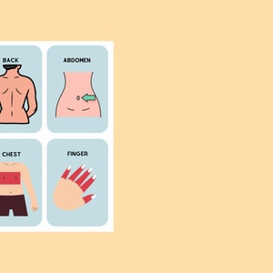 Anatomy Flashcards Interactive Digital Learning Tool for Body Parts Png ...