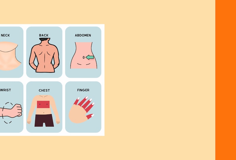Anatomy Flashcards Interactive Digital Learning Tool for Body Parts Png ...