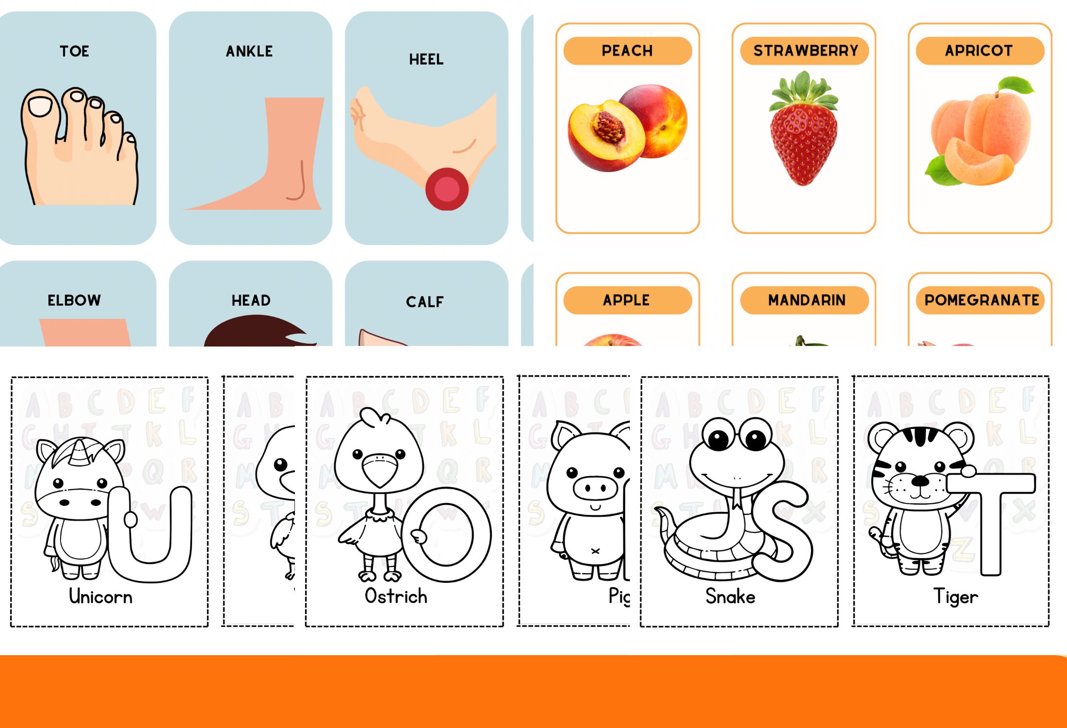 Montessori Flashcards of Alphabet With Animals, Fruits,vegetables ...