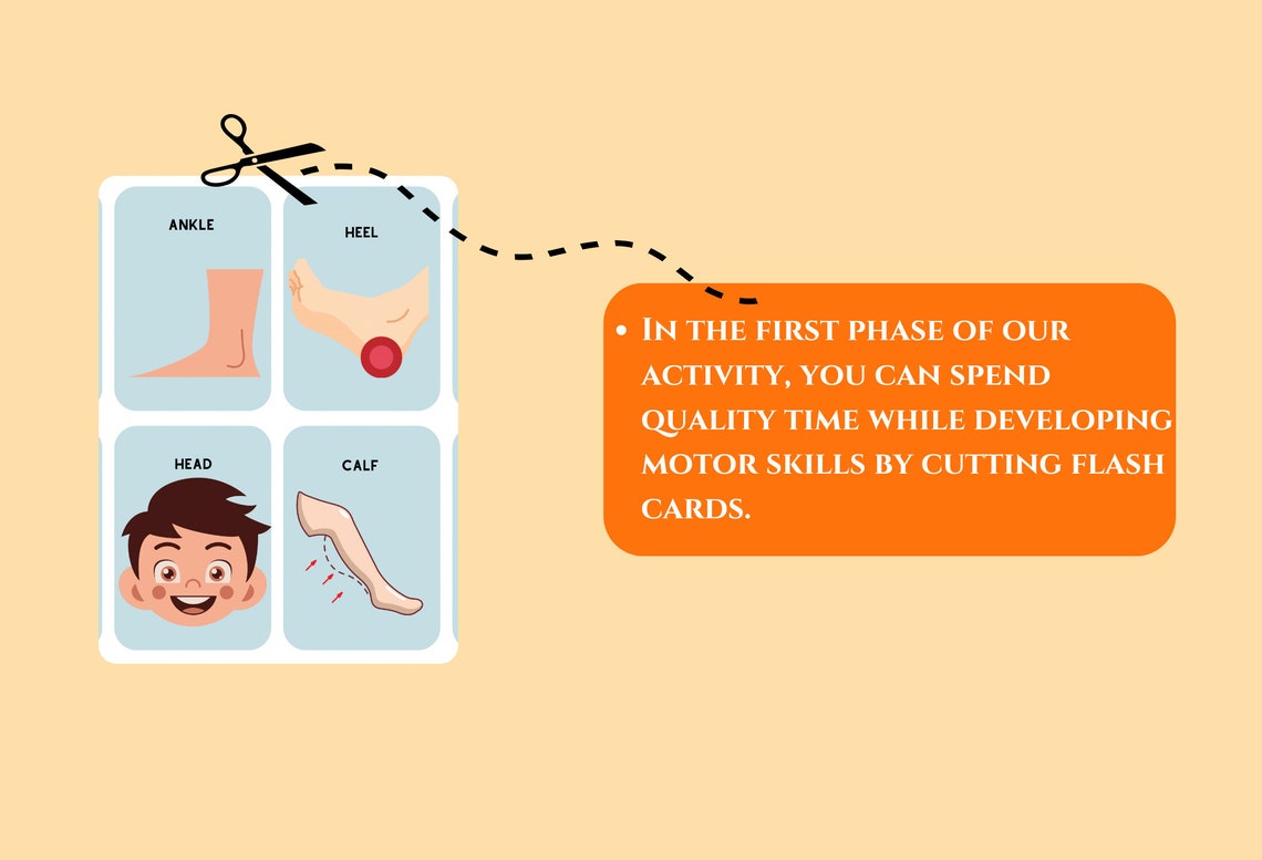 Anatomy Flashcards Interactive Digital Learning Tool for Body Parts Png ...