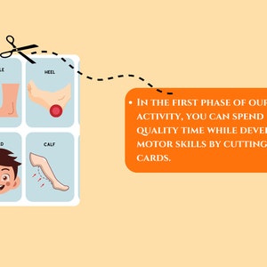 Anatomy Flashcards Interactive Digital Learning Tool for Body Parts Png ...