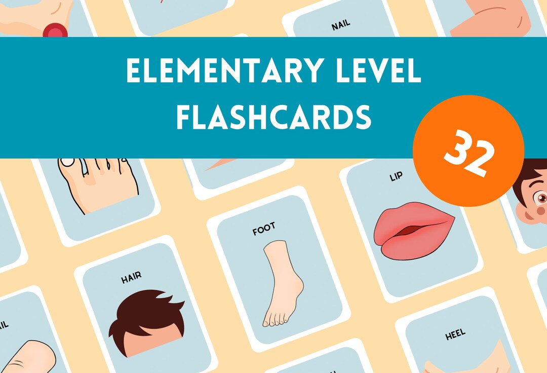 Anatomy Flashcards Interactive Digital Learning Tool for Body Parts Png ...