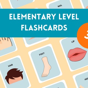 Anatomy Flashcards Interactive Digital Learning Tool for Body Parts Png ...