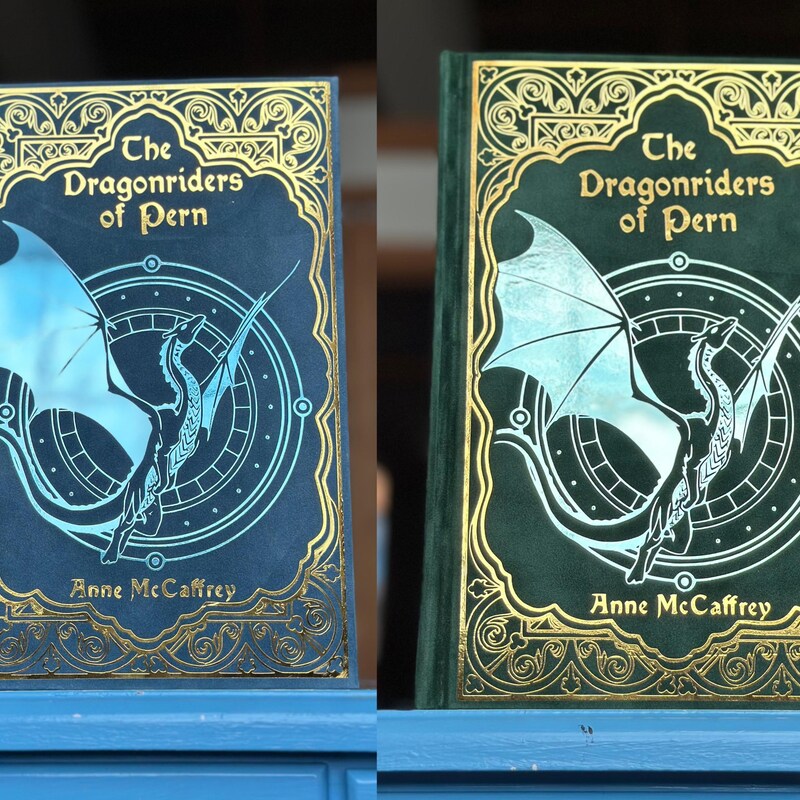 Dragon Rider Book Hardcover - Etsy