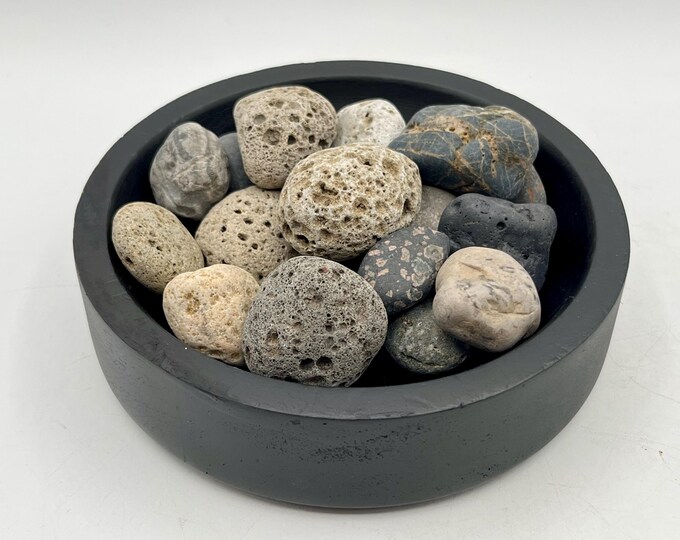 Lake Erie Stone Collection – Pumice, Basalt, Wishing Rocks & Fossil ...