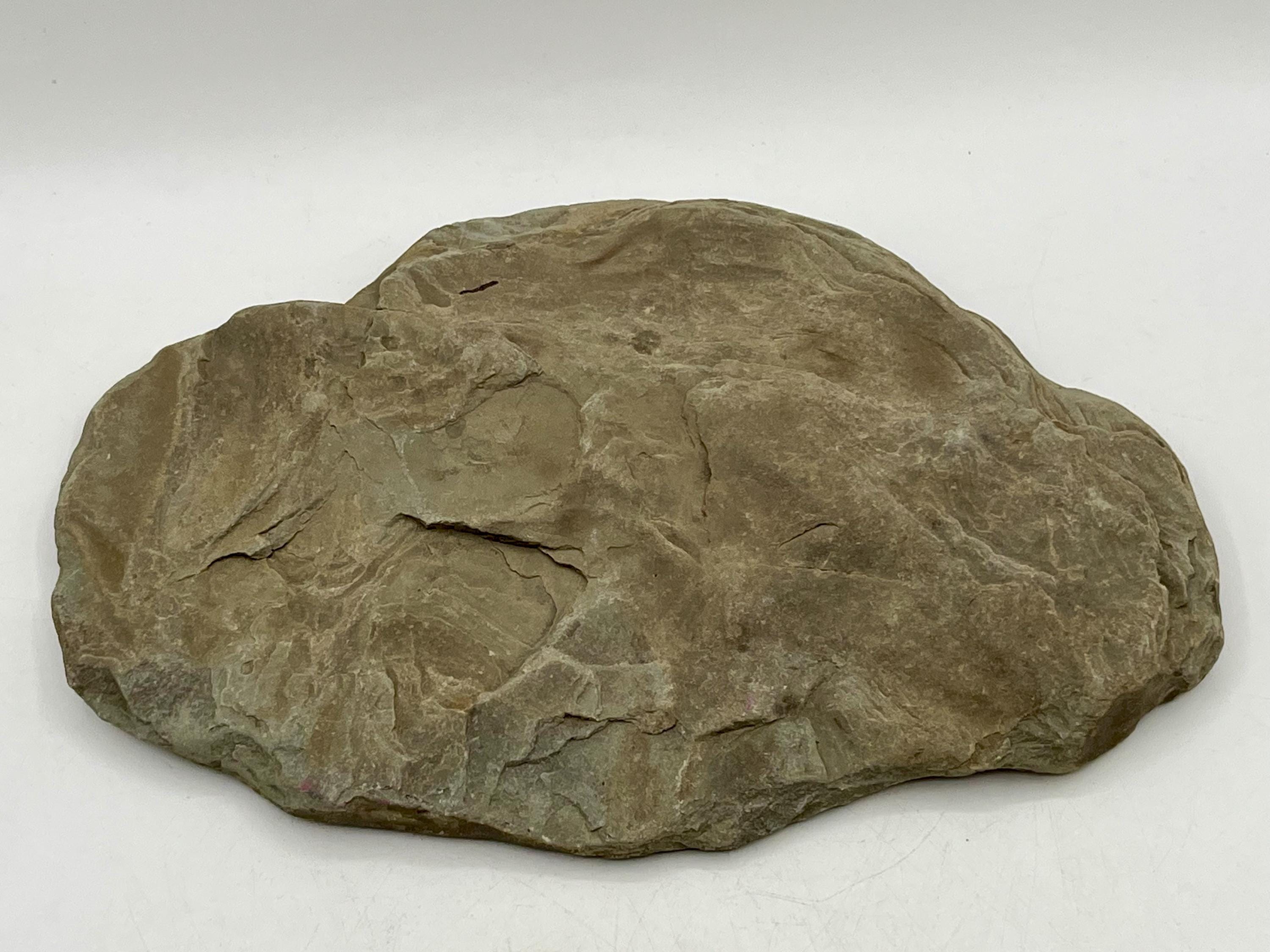 Large Flat Lake Erie Stone – Textured Layered Display Rock - Etsy